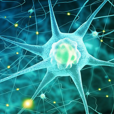 Difference Between Neurotransmitters and Hormones