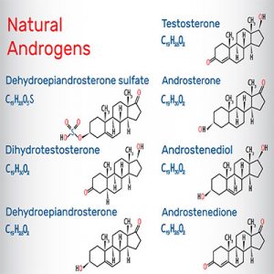 Do Androgens Increase Testosterone Levels?