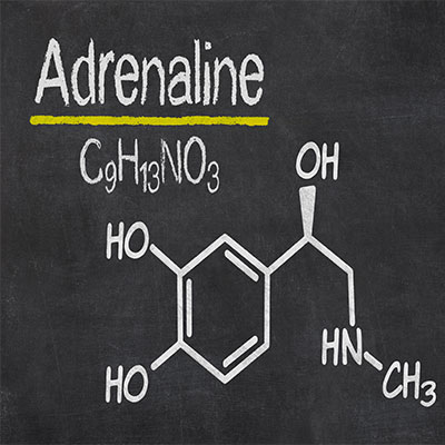 Adrenaline Hormone: What Is It, Effects and Function