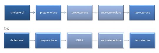Does Taking Testosterone Raise Cholesterol